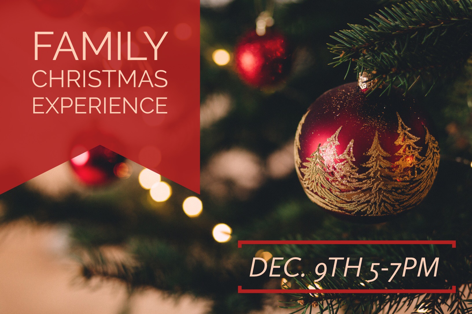 Family Christmas Experience